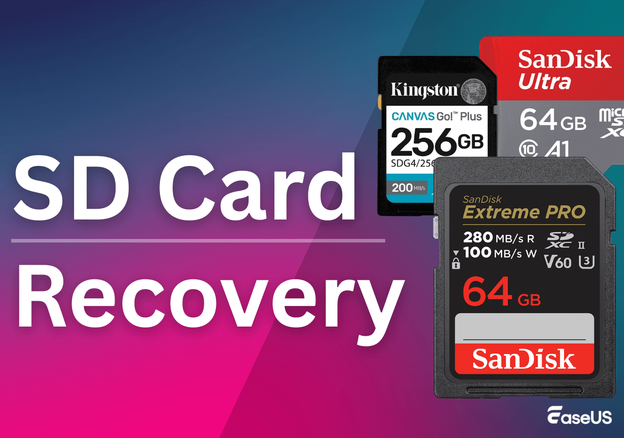 SD Card Recovery Guide: Common Problems & Expert Answers