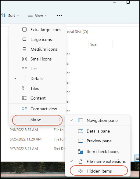 [2023] How to Recover Hidden Files on SD Card - EaseUS