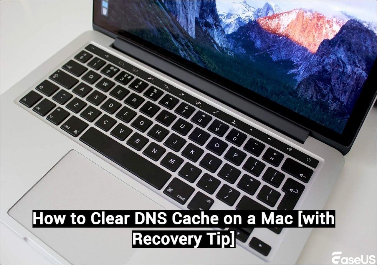 How to Flush DNS Cache on a Mac [in Quick Ways]
