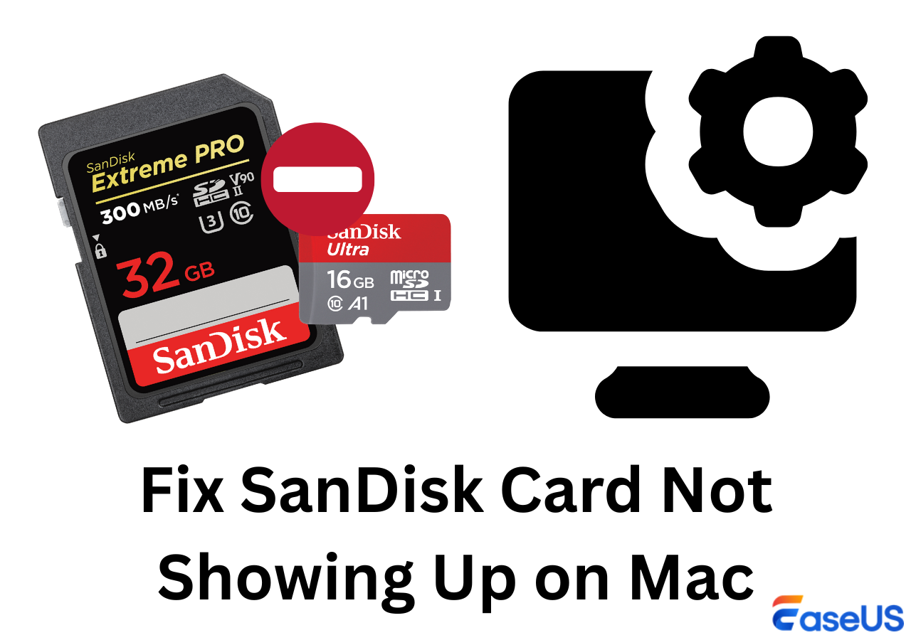 Fix SanDisk Card Not Showing Up on Mac Now