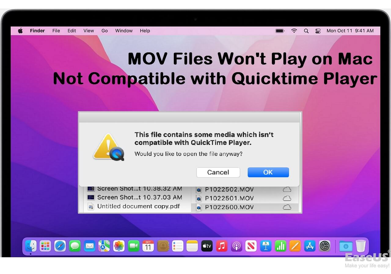 Fail MOV Tidak Akan Dimainkan pada Mac? 5 Cara Terbaik untuk Membetulkan - EaseUS