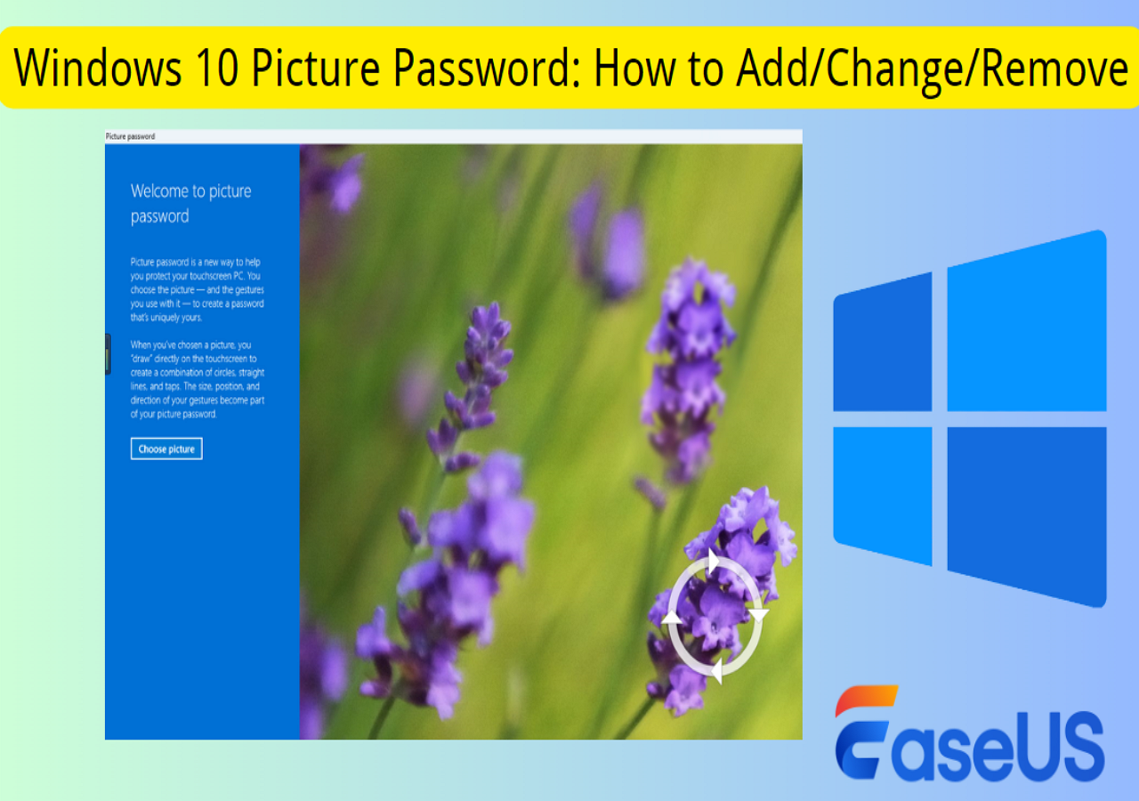 Download Easeus Data Recovery Wizard Free For Windows 10