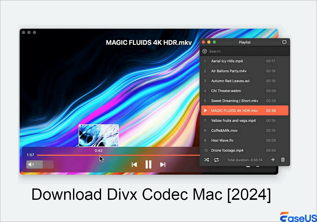 Divx Codec Mac [Top Options in 2025]