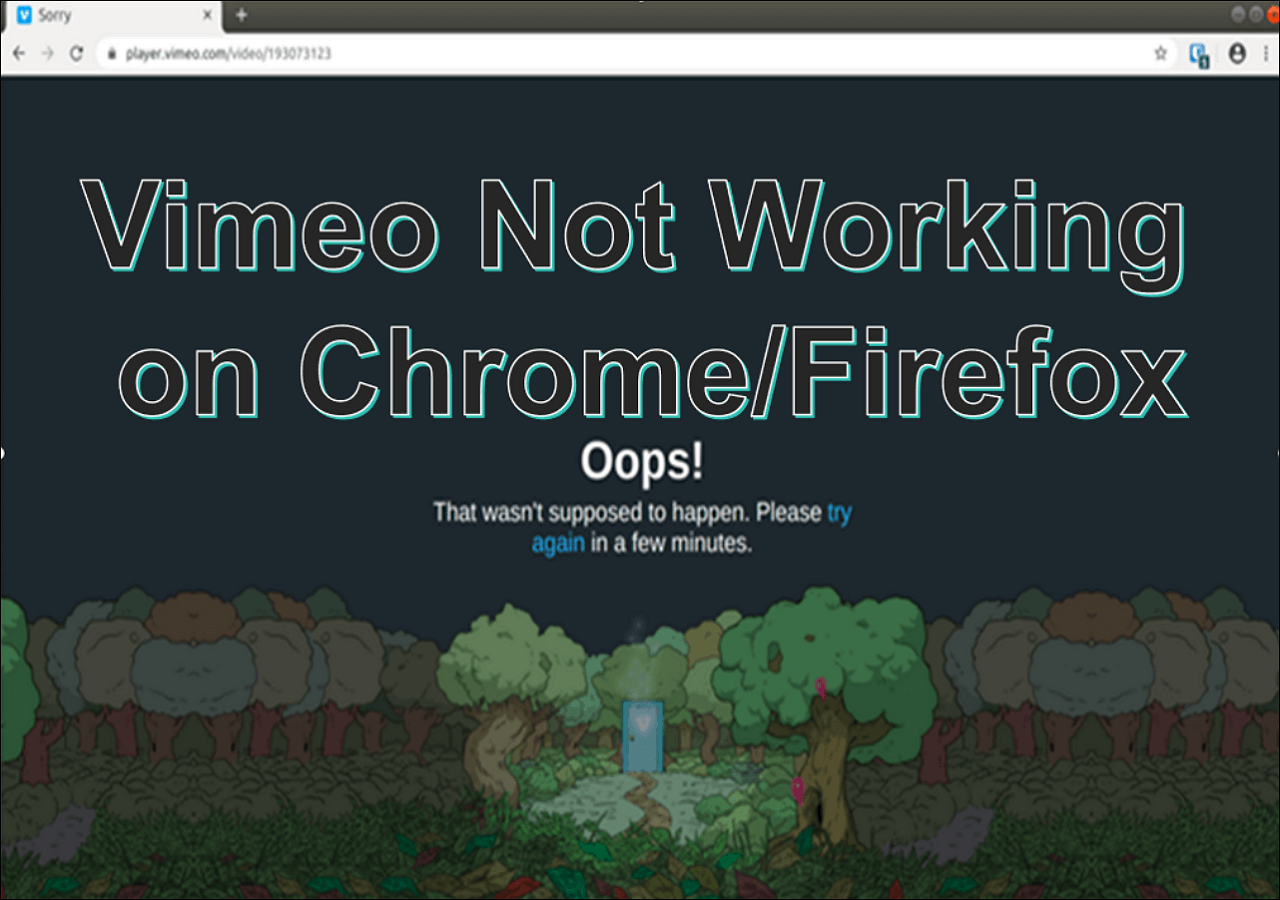 Vimeo Not Working on Chrome/Firefox/Internet Explorer [Fixed]