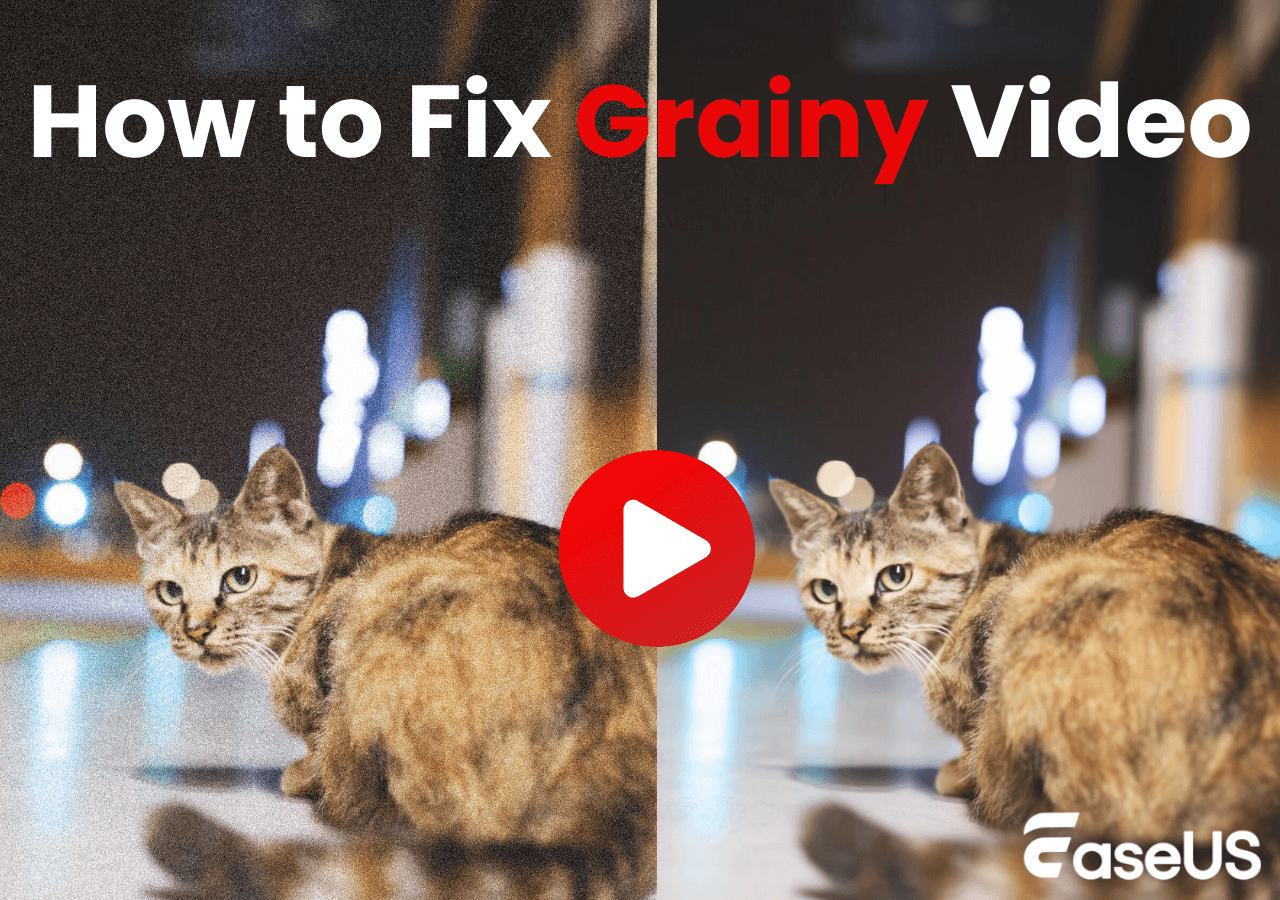 How to Fix Grainy Video | Automatic AI Way