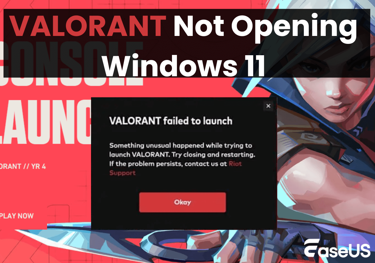Valorant Won't Open Windows 11? 5 Fixes Here