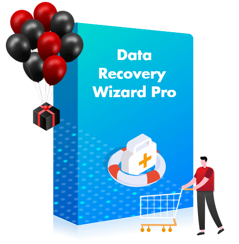 Online purchase of Data Recovery Wizard Professional. 30 day money back ...