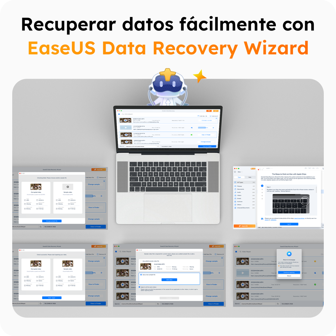 Software profesional de recuperación de datos para restaurar archivos formateados o eliminados ...